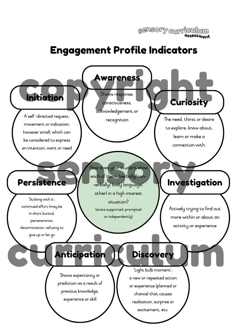 Engagement Profile Assessment Tool – Sensory Classroom Ltd