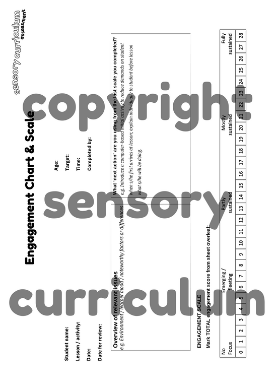 Engagement Profile Assessment Tool – Sensory Classroom Ltd