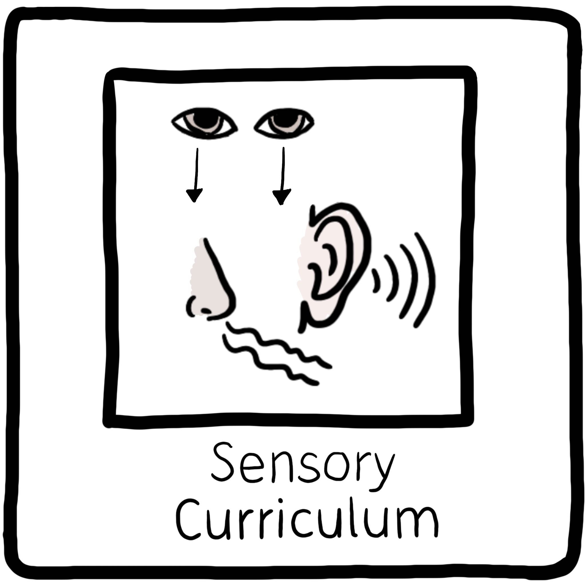 FULL Sensory Curriculum – Sensory Classroom